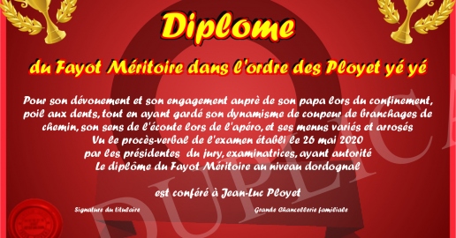 Diplome du Fayot Meritoire dans l ordre des Ployet ye ye