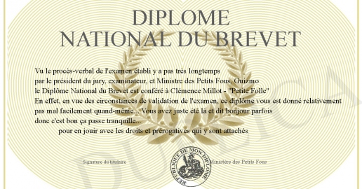 Diplome National du Brevet