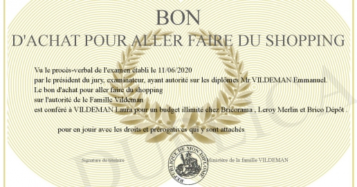 bon d achat pour aller faire du shopping