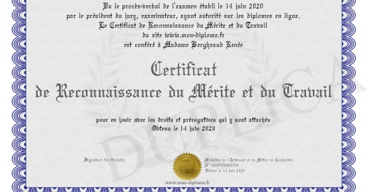 Certificat de Reconnaissance du Merite et du Travail