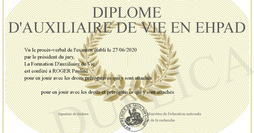 Diplome D auxiliaire de Vie en EHPAD