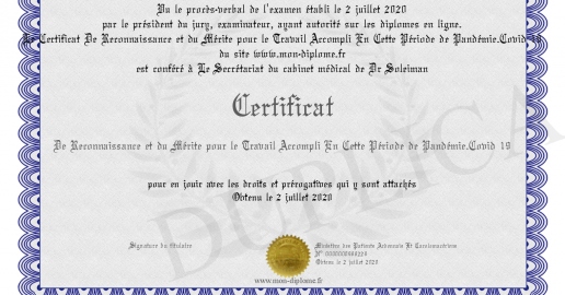 Certificat De Reconnaissance et du Merite pour le Travail Accompli En ...