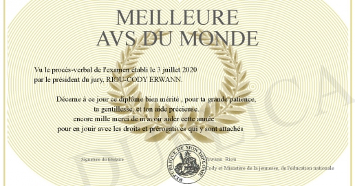 MEILLEURE AVS DU MONDE